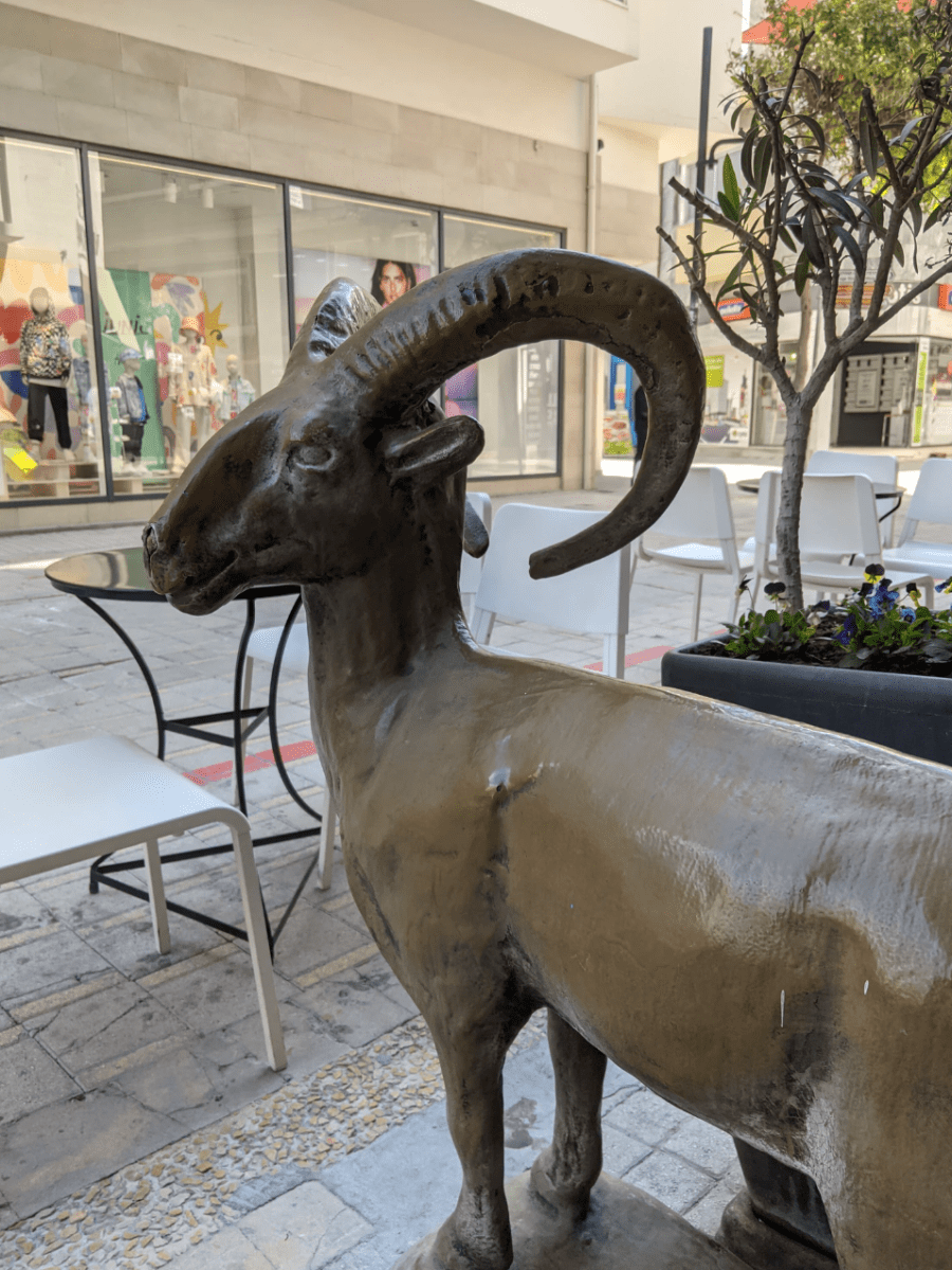 Read “In search of the elusive mouflon” in The Cyprus Files – Harrison Blackman